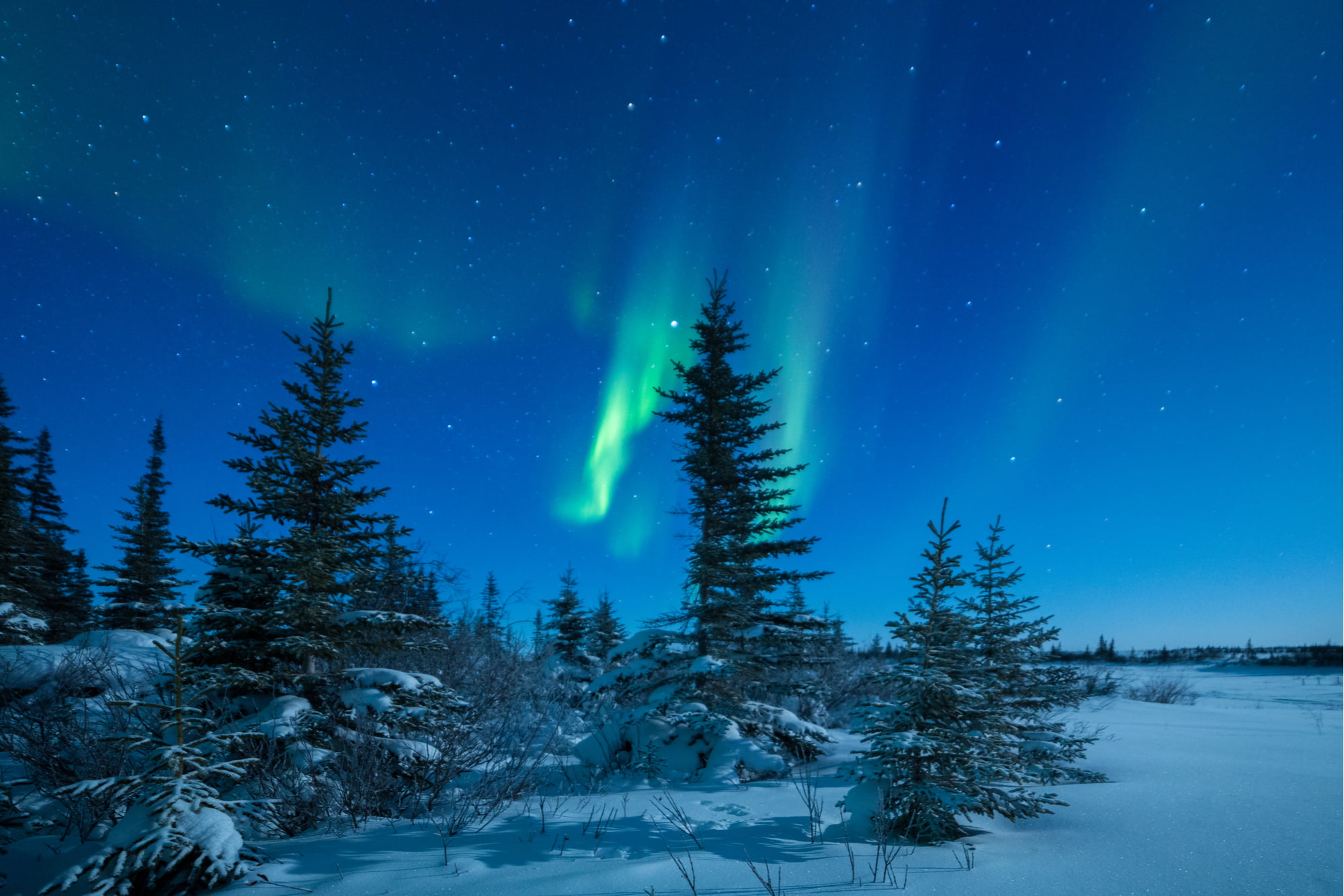 Three new suffragan bishops to be elected in diocese of the Arctic ...