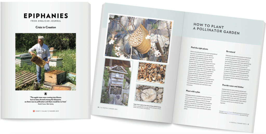 Anglican Journal launches digital magazine 'Epiphanies' - Anglican Journal