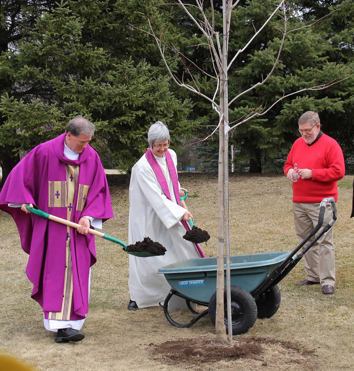 ‘Like trees planted by streams of water’ - Anglican Journal