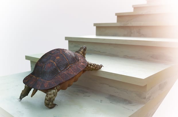 Praying for patience - Anglican Journal